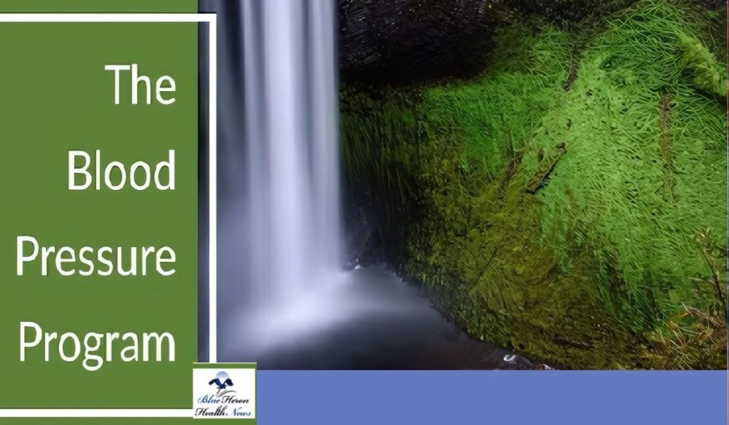 The Blood Pressure Program Reviews: A Legit Solution to High Blood Pressure?